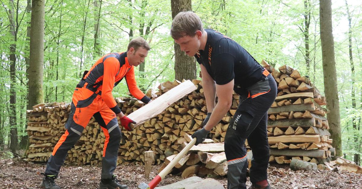 Gladenbacher Brüder sind Deutschlands schnellste Brennholzspalter